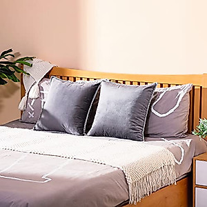 GAWAMAY Grey 16x16 Fall Pillow Covers,Pack of 2 Decorative Cushion Pillow Cases with Chenille Edge Soft Boho Decor Pillows for Living Room Sofa Couch Beding Green Velvet Euro Pillow (40x40cm)