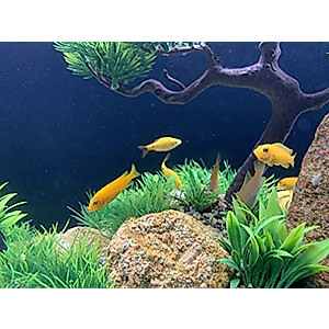 Artificial Aquarium Green Water Plants Tree Set 25 Pcs, Fish Tank Aquarium Decorations, Made of Soft Plastic, Safe for All Fish & Pets (Set 1)
