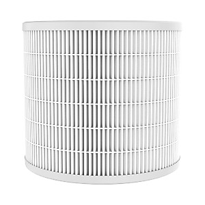QUEENTY True HEPA Filter - Replacement Air Purifier Filter for QUEENTY F008&F007 Air Purifier (Filter)