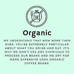 Mama Joe Organic Half Caff Coffee [Ground] - Low Acid, Low Caffeine Coffee for Pregnancy - Naturally Decaffeinated Using Mountain Water