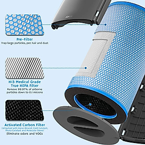 Airthereal Bundle | AGH550 True HEPA Air Purifier and 1-Pack Spare H13 Medical Grade Replacement Filter, Glory Days