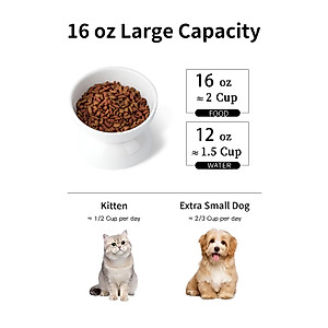 ABRUTY Cat Water Bowl, 16 OZ Ceramic Elevated Cat Dish, 15° Tilted and Raised Pet Food Bowl, Anti Vomiting Protect Pets' Spines and Whisker Fatigue