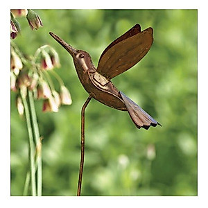 Ancient Graffiti Flamed Copper Hummingbird Garden Ornament