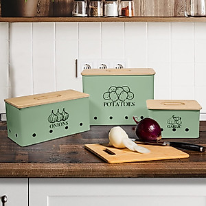 Xbopetda Canister Sets for Kitchen Counter, Kitchen Canisters Set of 3 for Potato Onion Garlic, Kitchen Storage Bin Jars Pots with Aerating Tin Storage Holes & Wooden Lid (Green)