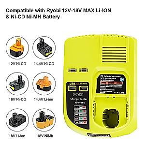 WaxPar P117 18V One+ Dual Chemistry Fast Battery Charger Compatible with Ryobi 12V-18V Max Battery P117 P118, Compatible with Ryobi ONE+ Lithium-Ion Ni-Cd Ni-Mh Battery P200 P102 with 2 USB Ports