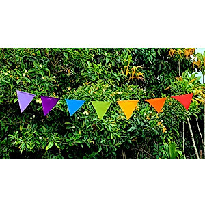 Hands Of Tibet LLC Handmade Blank Triangle Prayer Flags Surged Edges Put Your Own Prayers (Blank-Triangle-Seven-Chakra-6"X6")