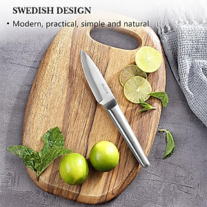 PAUDIN Paring Knife, 3.5 Inch High Carbon German Stainless Steel Kitchen Knife, Super Sharp Fruit Knife with Ergonomic Hollow Handle, for Peeling, Trimming, and Garnishing Fruit and Vegetable