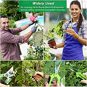 Fixm Pruning Shears for Gardening, Heavy Duty Garden Pruner for Plant, Shrubs, Bonsai Tree. Gardening Hand Scissors Set for Plant Fruit Trimming with Garden Gloves, Grafting Tape, Replacement Spring