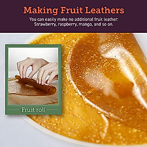 COSORI Food Dehydrator Machine Fruit Roll Sheets, BPA-Free Dehydrator Sheets for CO165 Food Dehydrator for Jerky Meat Beef Fruit, C165-2FR,2Pack