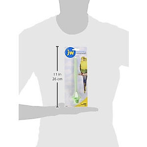 JW Pet Insight Sand Perch, Small, Assorted