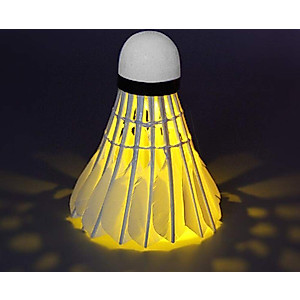 [8 Pack] LED Badminton Set, Shuttlecock Dark Night Glow Birdies Lighting Outdoor Indoor Sport Activities,Colorful