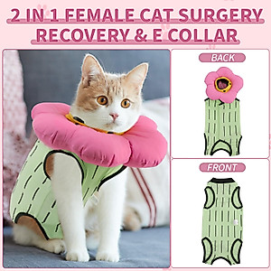 EMUST 2PCS Cat Recovery Suit and Cat Cone Collar Female, Cute Cat Surgical Suit for Abdominal Wounds or Skin Diseases, Adjustable Flower Neck Cat Cone Collar Soft for Cats 4-8lb(Green, M)