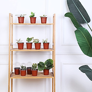 JERIA 60 Sets 4" Plastic Plant Nursery Pots with Humidity Domes,(60 Pots + 60 Clear Lids),Seedling,Flower Plant Container and Seed Starting Pots with 100pcs Plant Labels