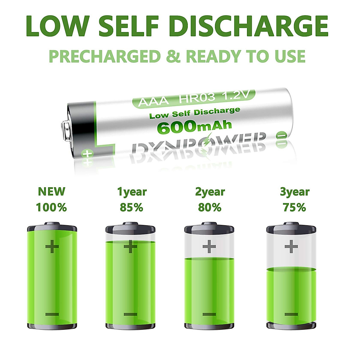Dynpower NiMH AAA 600mAh Rechargeable Batteries 1.2V,Pre-Charged Triple A for Outdoor Solar Lights Garden Light and Household Devices, (Pack of 12)