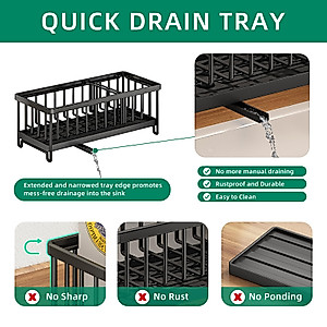 PETXPERT Kitchen Sink Caddy, Sponge Holder for Kitchen Sink, Dish Sponge Organizer with Divider, Rustproof 304 Stainless Steel Dish Brush Holder Storage for Bathroom, Black