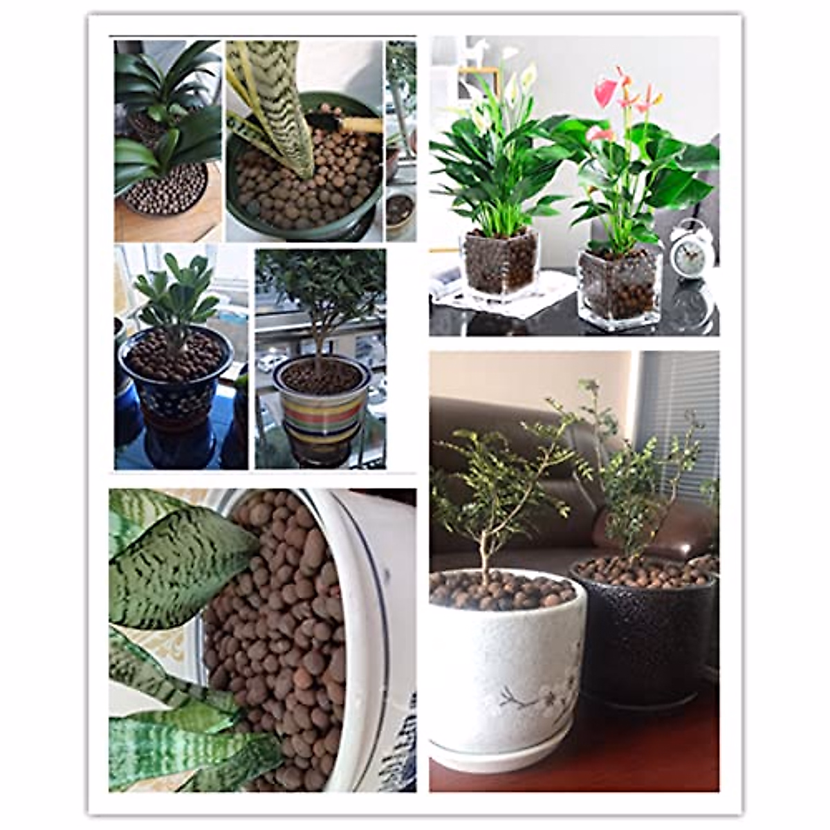 SiynannLawn 8LBS Expanded Clay Pebbles Grow Media Drainage Rocks for Potted Plants,Aquaponic,Aquarium,8-14mm Leca Balls for Hydroponics,Leca for Plants