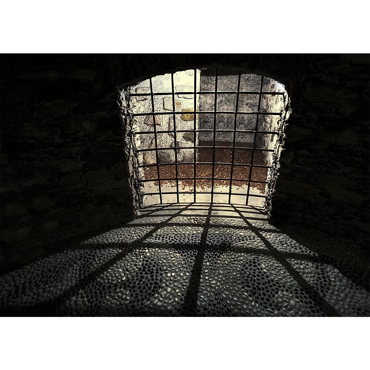 CORFOTO 5x3ft Fabric Medieval Jail Cell Backdrop for Photography Prison Window Light Background Old Dungeon Cell Party Decorations Murder Mystery Party Backdrop Photoshoot Booth Studio Props