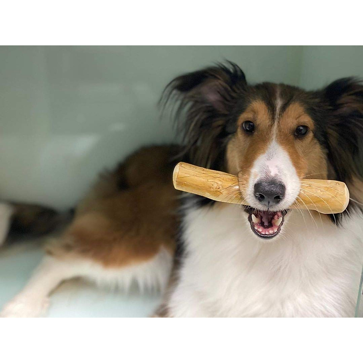 Pet Full House WoofWood Dog Chew Sticks