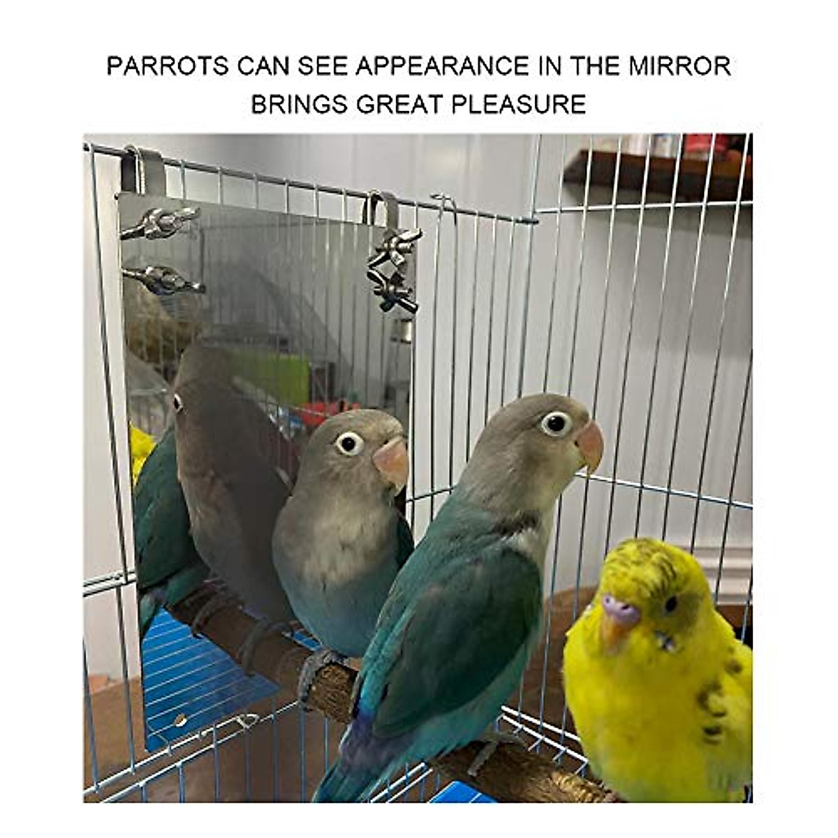 Bird Mirror, Stainless Steel Medium Small Parrots Mirror Bird Mirror Toy with Wooden Standing Rod for Parrot Parakeet Cockatiels