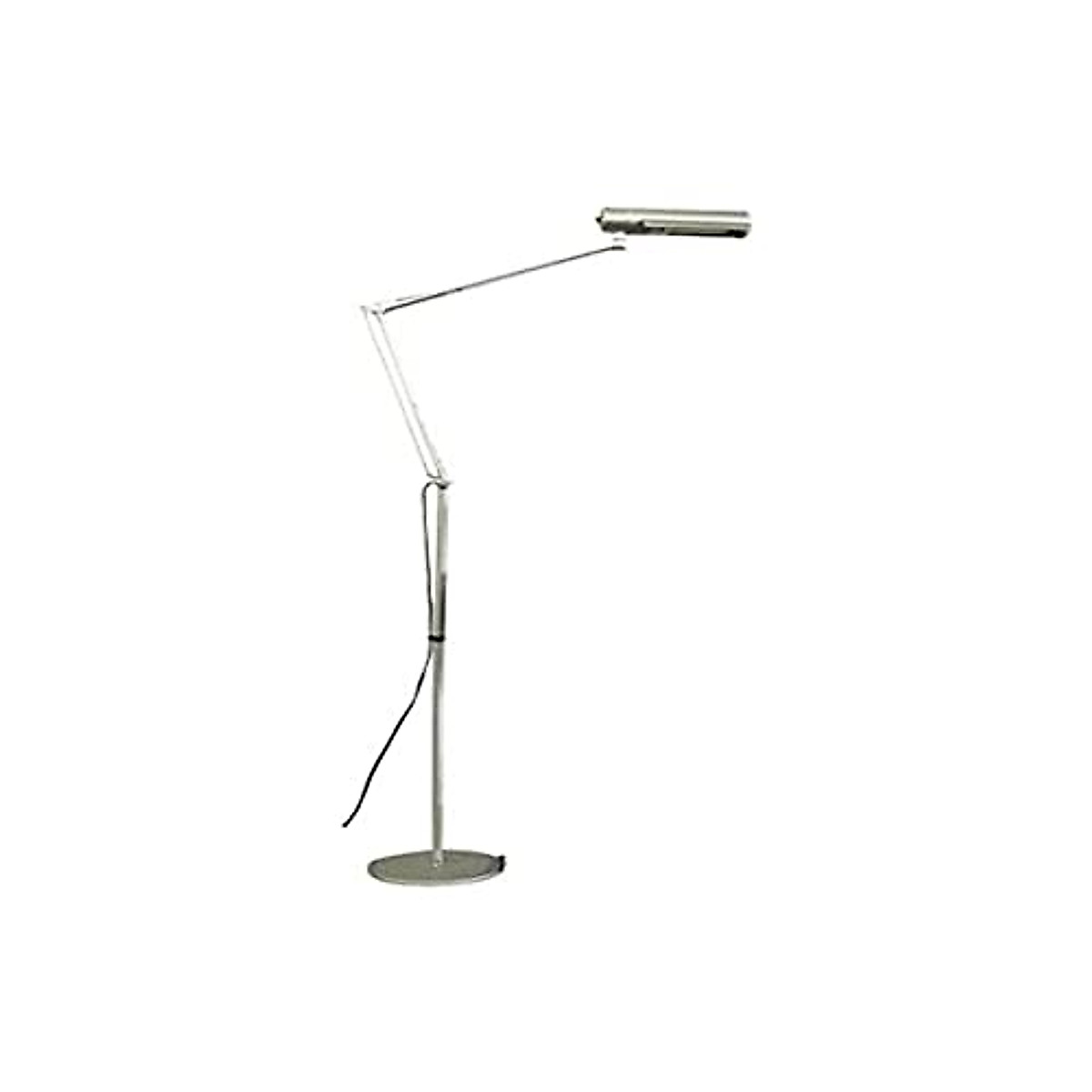 Avian Adjustable Floor Lamp for Bird