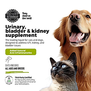 UroMAXX, Cat & Dog Urinary Tract Treatment, Bladder & Kidney Support for Dogs and Cats, Powerful Yet Gentle Pet Care, with Liquid Cranberry & Glucosamine, Chicken Flavor, 6 oz Bottle, 3 Pack