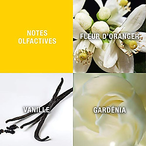 Giorgio by Giorgio Beverly Hills For Women, Eau De Toilette Spray, 1.7 fl oz