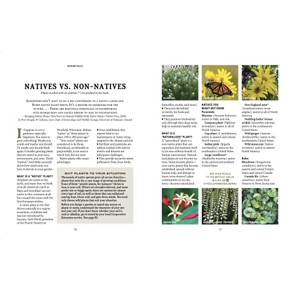 The Old Farmer's Almanac Flower Gardener's Handbook (Gardener's Handbooks, 2)