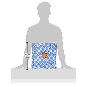 Hudson Baby Unisex Baby Animal Face Security Blanket, Blue Fox, One Size