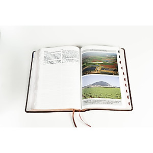 Santa Biblia Reina Valera 1960 Letra Gigante con Indice Foro de Semil Piel en color caoba con cafe claro Incluye fotos y ilustraciones