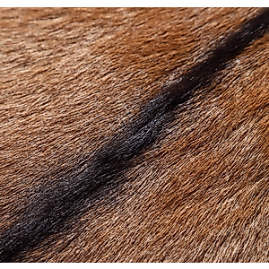 Natural Tanned Sheep Skin Antelope Fur Goat Hide Pelts Skin Springbok Fur Hide Pelt Rug Taxidermy Hunting Trophy and Fur Plush Fur Clothing Liner Bag Accessories 1PCS (16X16IN)