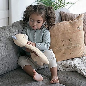Ingenuity Premium Soft Mini Bean Bag Plush, Nate The Teddy Bear, Ages Newborn and up.