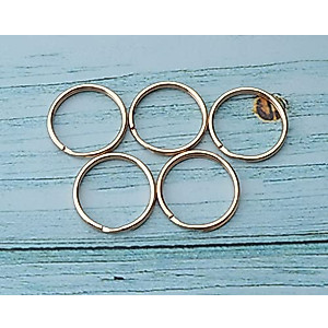 Ruwado 5 Pcs Dog Tag Clips with 5 Pcs 3/4 Inch Keychain 5 Pcs 1 Inch Keychain Gold Metal Dog Tag Rings for Pet Kitten Cat Collars ID Holder Harnesses