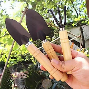 3Pcs Succulent Tools, This Tool Set is Especially Suitable for Office Gardening, Desktop Gardening and Indoor Bonsai,It Helps You All Kinds of Small Potted Plants，Meets Your Gardening Needs