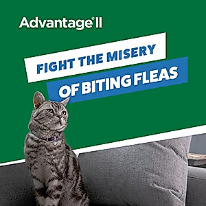 Advantage II Once-A-Month Topical Kills Flea for Kitten, Count of 2.041 LB