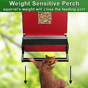 Squirrel Proof Bird Feeder, Red Metal Bird Seed Feeder for Outdoors Hanging Chew-Proof, 5lbs Large Seed Capacity for Cardinal, Finch, Sparrow, Blue Jay, Swallow, Parrot