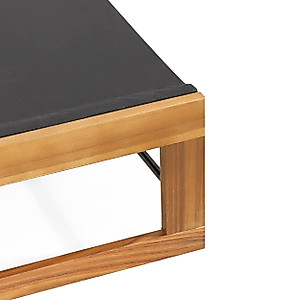 Christopher Knight Home 316327 Emile Chaise Lounge, Black + Teak