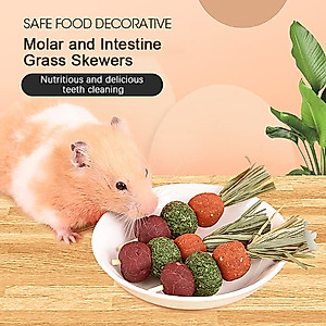 Eyomii Small Pet Molar Supplies Hamster Treats Rabbit Chew Toys Small Animal Chew Carrots All Natural Nutritious Molar Toys for Rabbit/Hamster/Guinea Pigs