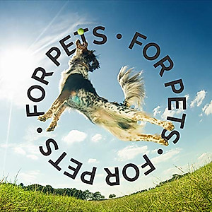 Bark 2 Basics Wild Berry Dog Shampoo, 1 Gallon | Unique Herbal Blend, Finest Natural Ingredients, Handcrafted, Soap-Free & Cruelty-Free, Protects and Nourishes Skin and Coat