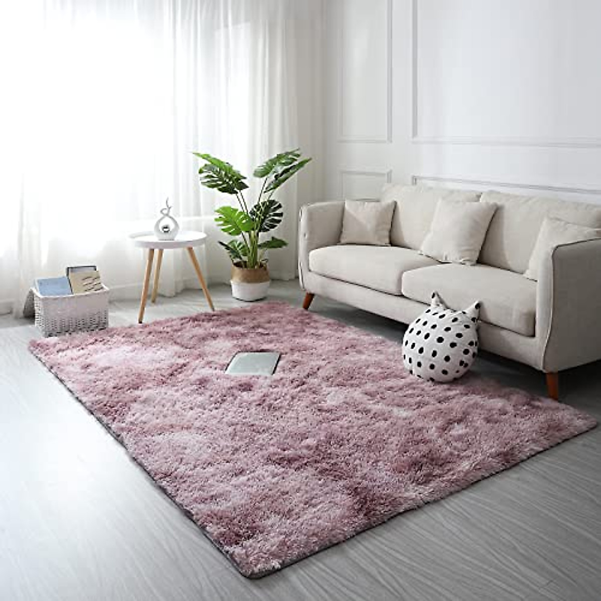 TEWWET Fluffy Rugs for Bedroom 6x9, Soft Shaggy Bedroom Rug, Fuzzy Plush Area Rugs for Dorm Living Room Kids Room, Non-Slip Indoor Floor Accent Area Carpet（Pink）