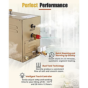 CGOLDENWALL 9KW Commercial Self-Draining Steam Generator Shower System Home Steam Bath Spa Generator 30 min to 12 Hours with Auto Drain 95-131℉ for Suitable Space Heating 9 m³/318 Cubic feet (9KW)