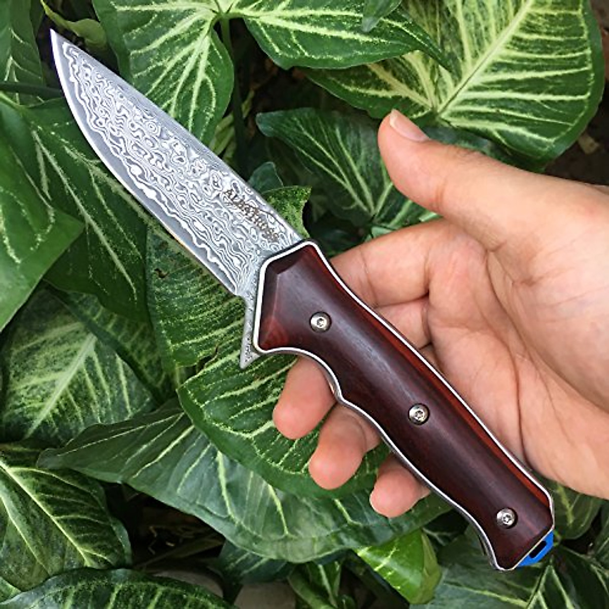 ALBATROSS HGDK001 EDC Classic Damascus Folding Camping Pocket Knives With Liner Lock,Cocobolo Wood Handle,Gifts/Collections