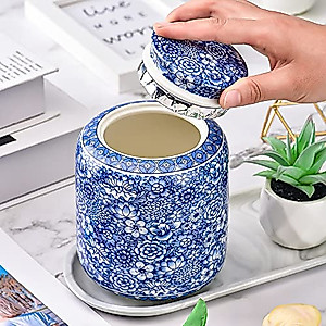 No Name No Seal Ginger Jar Decorative Jar Ancient Chinese Imperial Enamel Porcelain (Small, Blue,White)