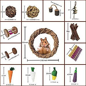 13PCS Guinea Pigs Toys, Rabbit Toys Set Natural Wooden Hamster Toys for Teeth Care, Best Choose for Rabbit Guinea Pig Rat Bunny Chinchillas Gerbils Chew