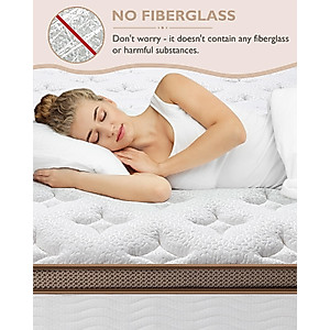 BedStory Queen Mattress - 14 Inch Hybrid Mattress in a Box - Individually Wrapped Coils for Pressure Relief and Motion Isolation