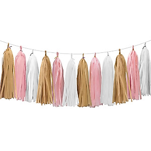 Aonor Gold White Pink Tassel Garland for Baby Shower Decorations Bridal Shower Birthday Party Decorations 15PCS