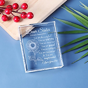 YWHL Sister Birthday Gifts from Sister, Compliment Sister Gifts for Women, Sister Love Crystal Keepsake for Christmas