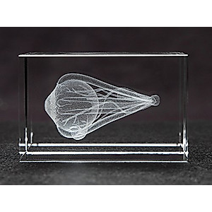 Eye 3D Laser 1lb Crystal, Anatomy, Ophthalmology
