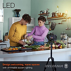 Sylvania LED Vintage Filament ST19 Light Bulb, 40W = 4.5W, 380 Lumens, Dimmable, Amber Glow - 4 Pack (40328)