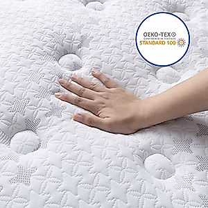 Sleepmax 14 Inch Queen Mattress - Hybrid Mattress Made in USA - Firm Mattress - Memory Foam with Individual Pocket Springs, Bed Mattress-in-a-Box
