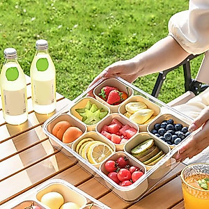 2 Pack Portable Picnic Parties Fruit Tray, 9 Compartment Fridge Food Veggie Condiment Divided Serving Preservation Storage Containers, Kitchen Clear Snackle Box Candy Organizer with Lid Handle
